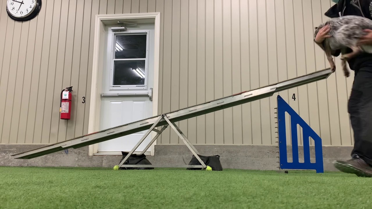 Agility Balance Training - YouTube