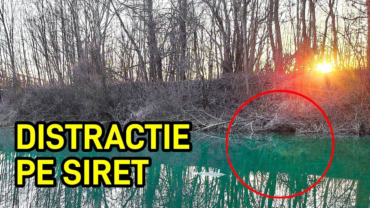 AM PRINS PESTI PE APA CURGATOARE IARNA LA COSULET SI LA PLUTA - YouTube