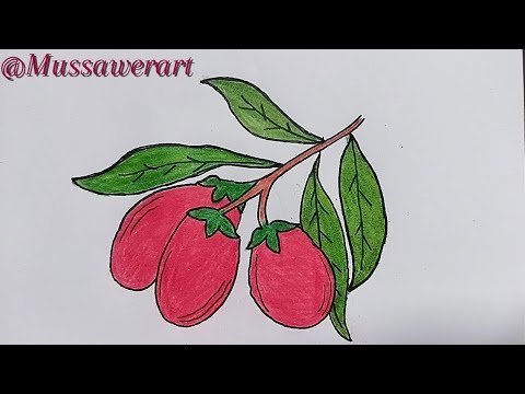 How to draw a goji fruit drawing||| easy and cute drawing|| easy ...