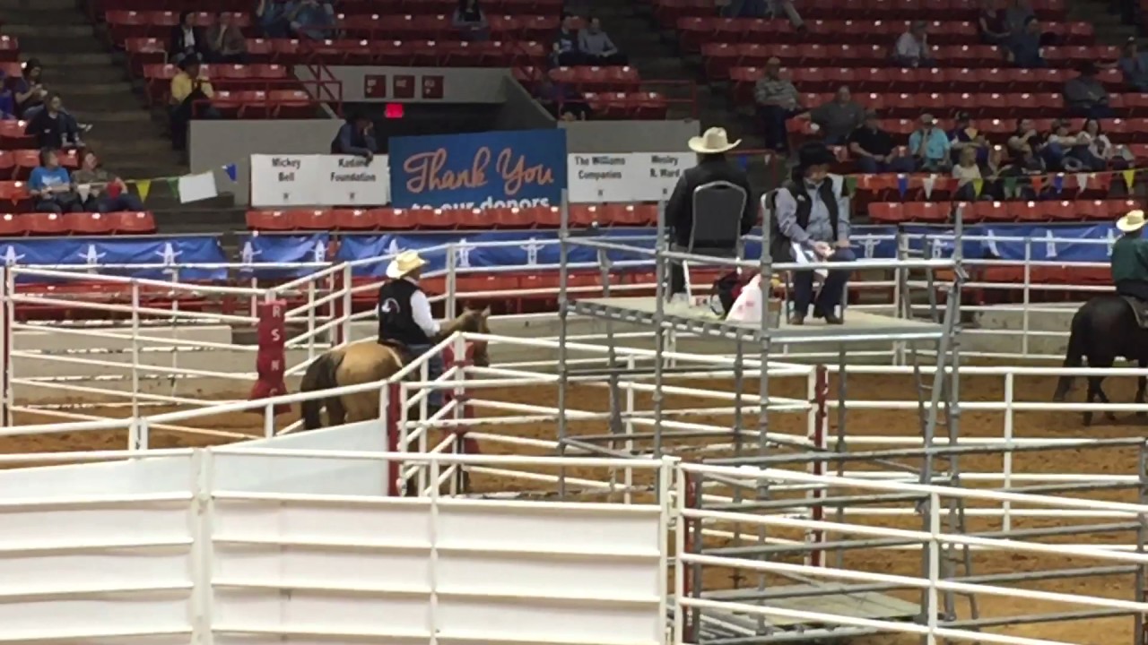 My grandfather at the 2017 Huston Livestock Show and Rodeo: Horse Show ...
