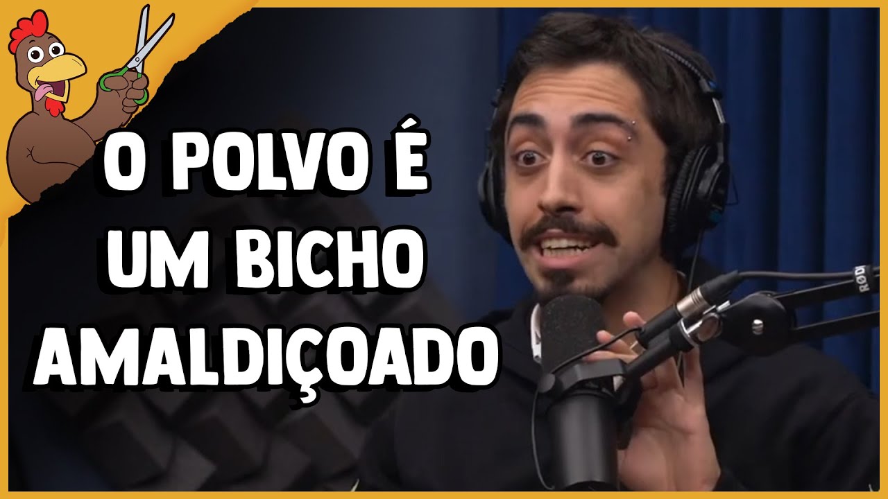 O POLVO É UM ANIMAL COM DNA ALIENÍGENA | Cocoricortes - Cortes de ...