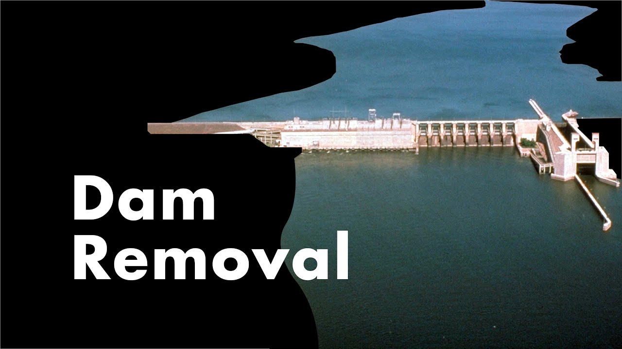 The Growing Movement for Dam Removal - YouTube