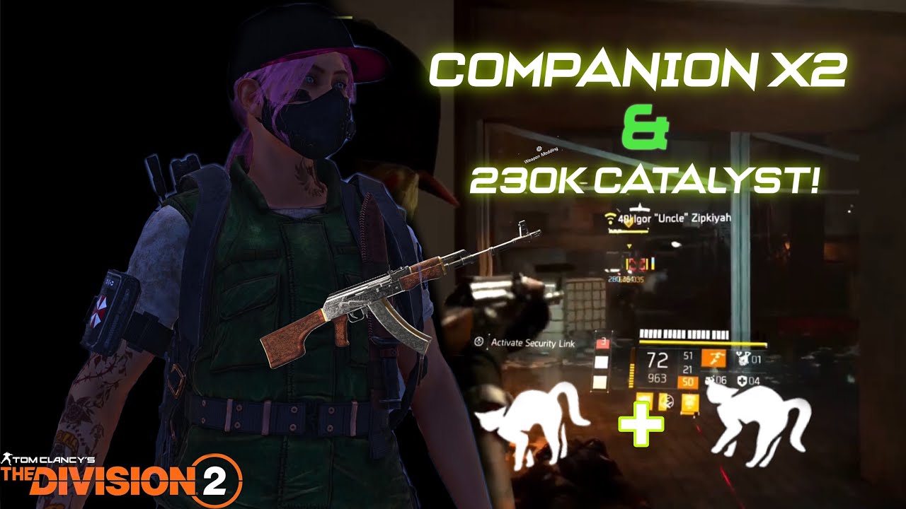 230k PAKHAN “2 IN 1” CATALYST/COMPANION TANK BUILD | The Division 2 ...