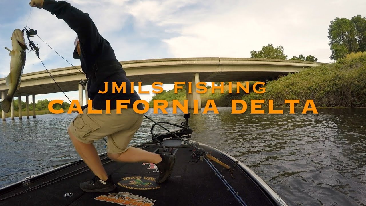 California Delta~Catching Fish and Fishing Poles! - YouTube