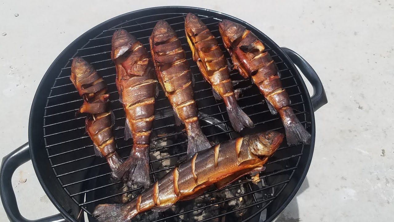 How I smoke Rainbow Trout (fish) - YouTube