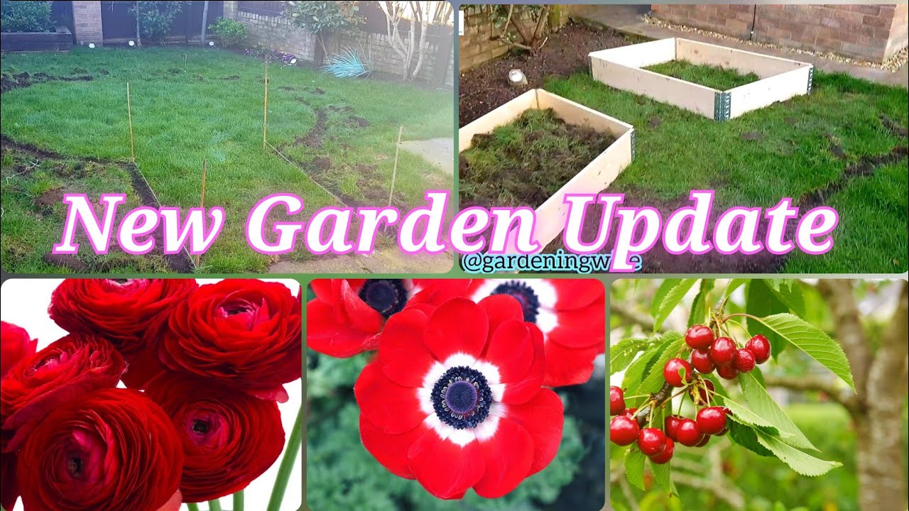 New garden update ~ Garden transformation begins ~Designing small urban ...