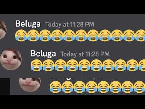 Белуга сборник 2 - YouTube
