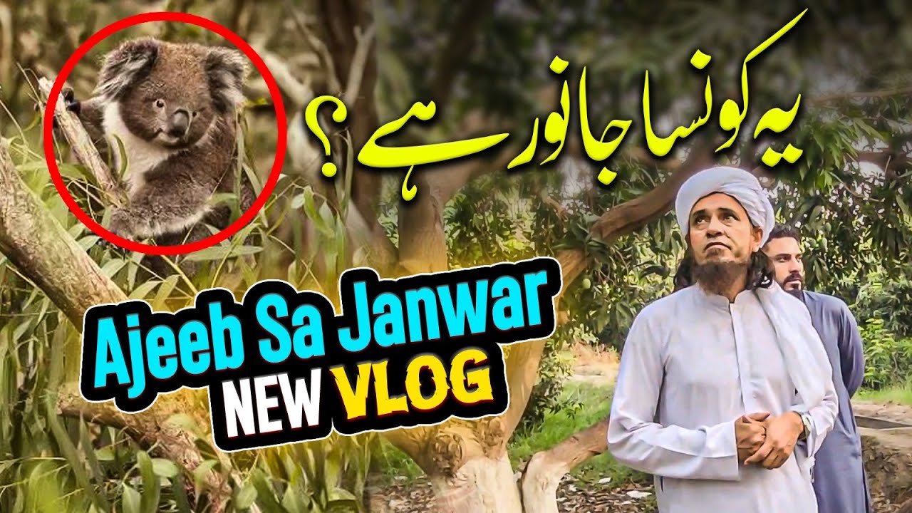 Mufti Tariq Masood Australia Zoo Vlog - YouTube