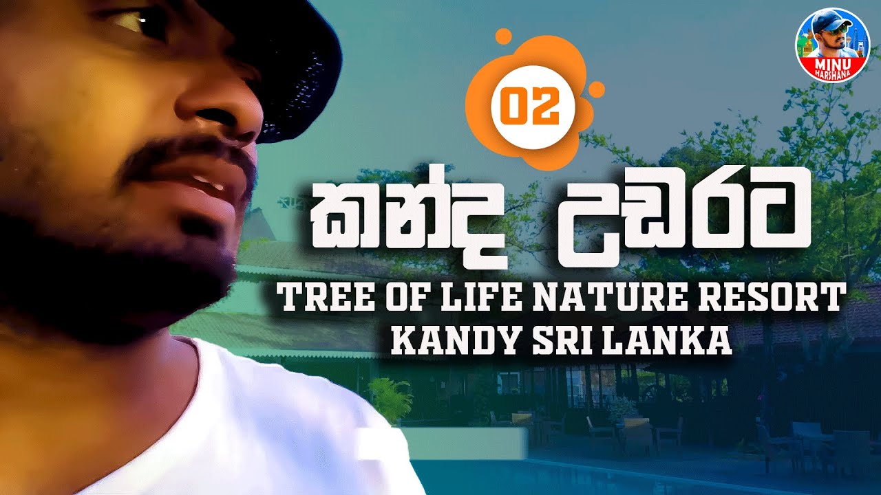 KANDY PART 02 l Tree of Life Nature Resort Kandy Sri Lanka l කන්ද උඩරට ...