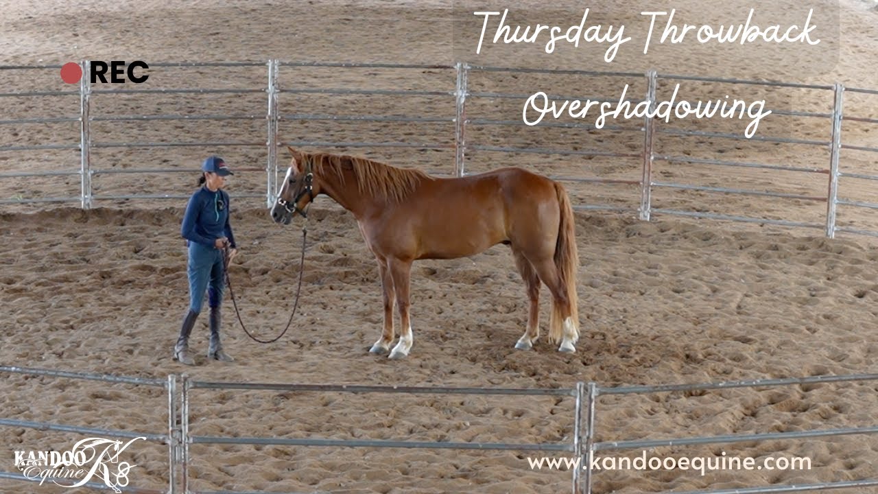 Training using overshadowing - YouTube