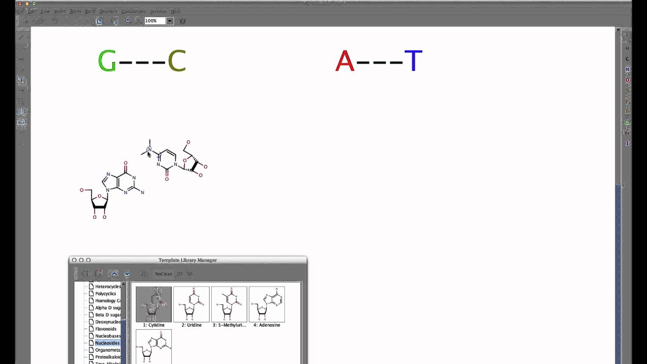 Base Pairing Rules and Molecular Structure - YouTube