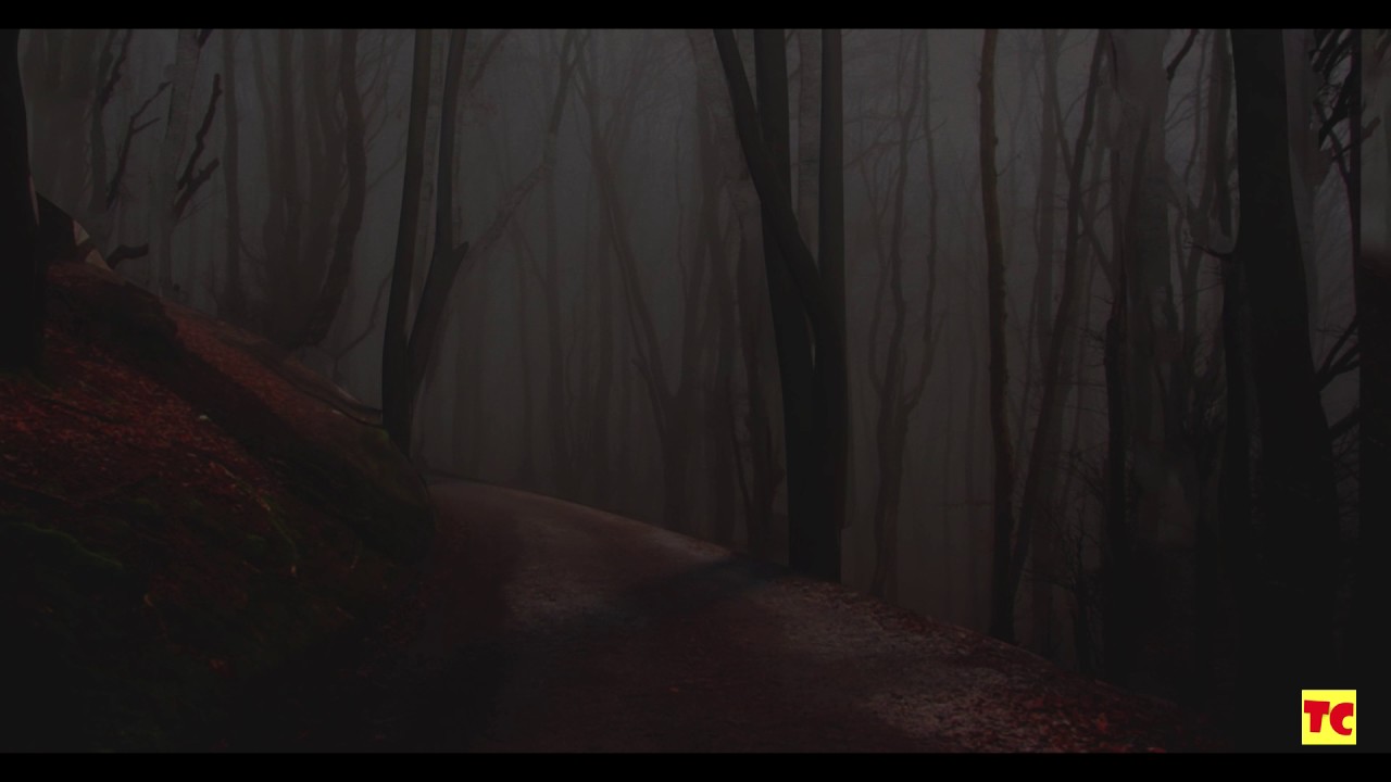 Dark Forest | By TC | Camera Projection - YouTube
