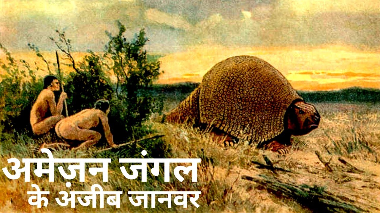 Amazon Rainforest Animals Facts Amazon Rainforest YouTube amazon-rainforest-animals-facts-amazon-rainforest-youtube