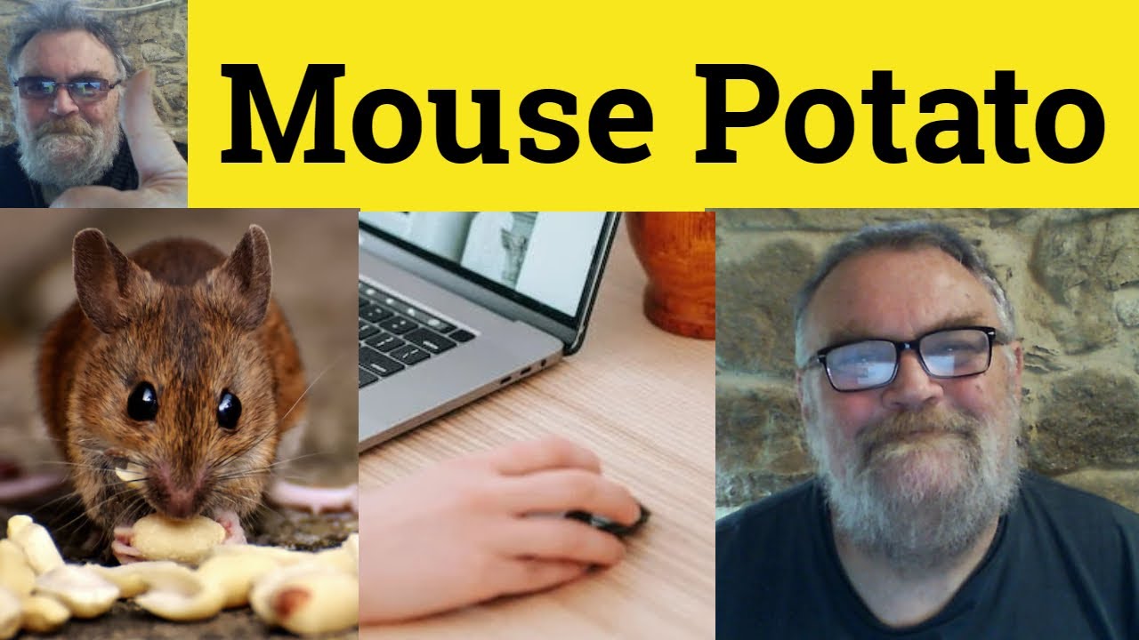 🔵 Mouse Potato Meaning - Mouse Potato Examples - Mouse Potato Defined ...