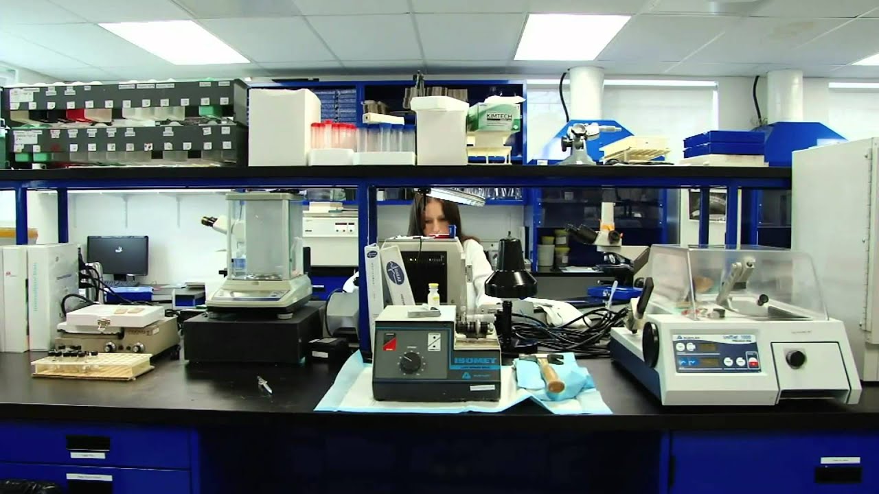 Preclinical Research Services - AccelLAB - YouTube