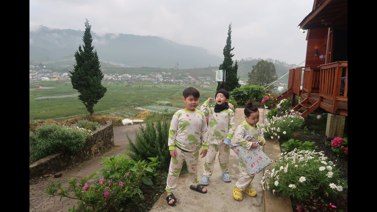 florinsa cabin house dieng candi gatot kaca - YouTube