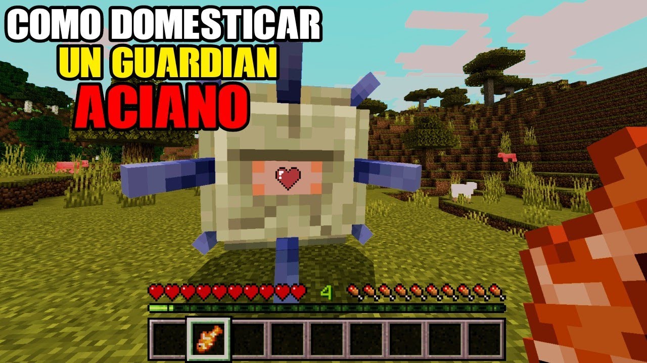 🤯 Minecraft Bedrock | COMO DOMESTICAR un GUARDIAN ANCIANO 😱 | MASCOTA ...