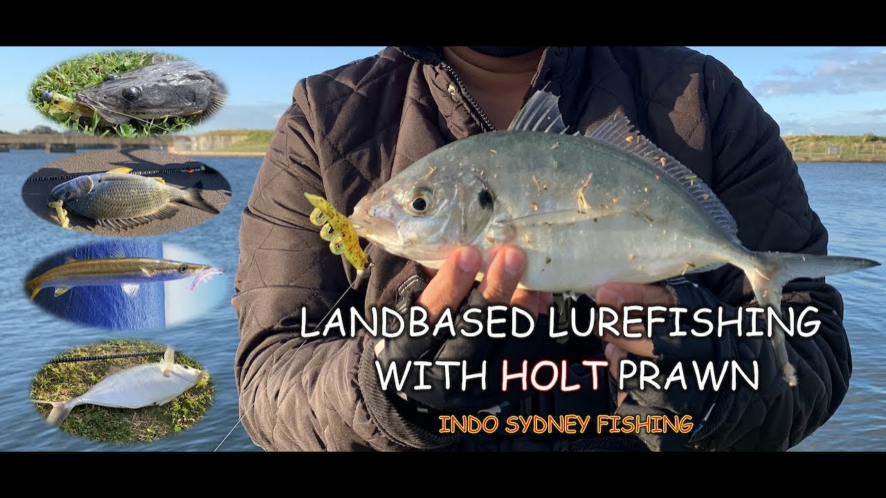 Landbased lurefishing with HOLT Prawn - YouTube