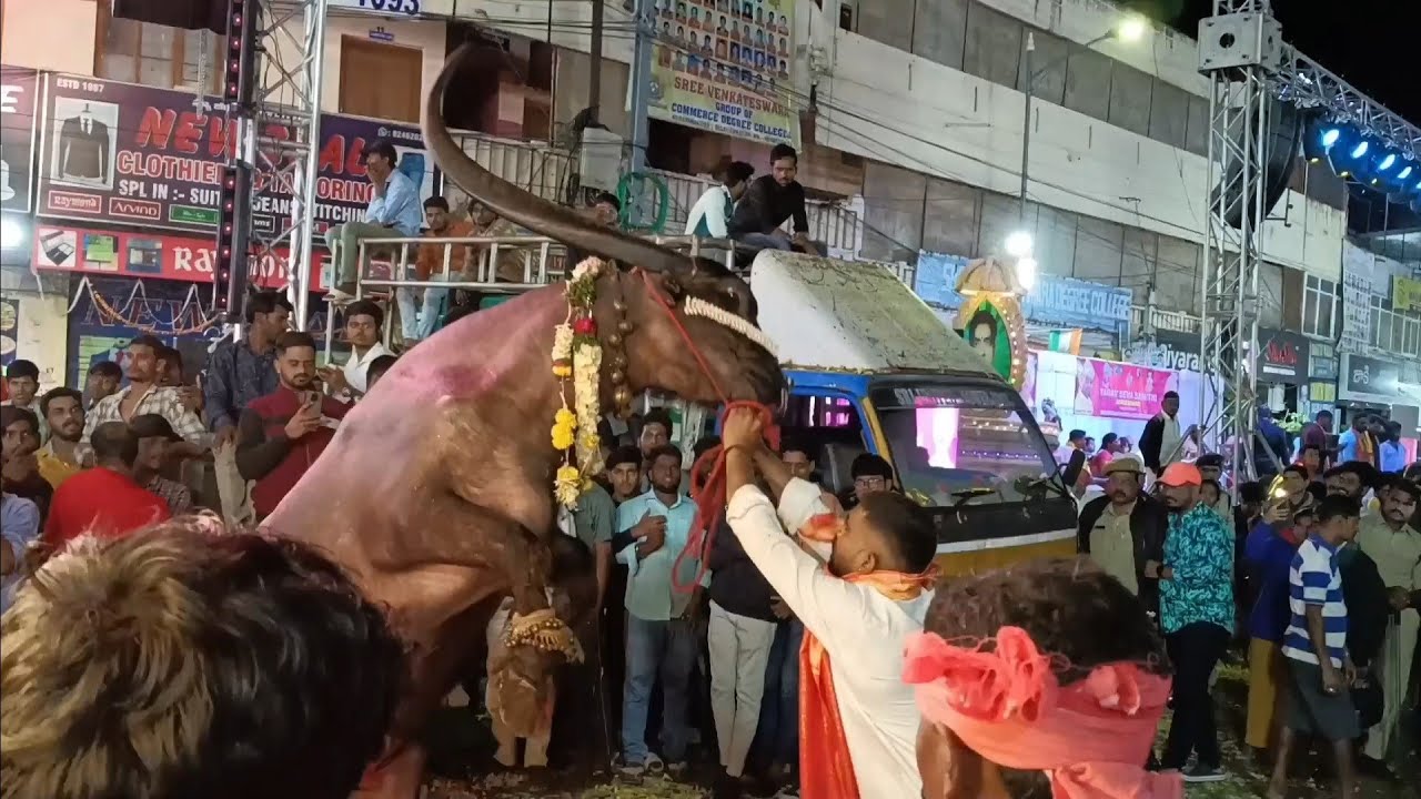 Naryanguda Sadar Sammelana 2022 | Sadar Festival in hyderabad | Sadar ...