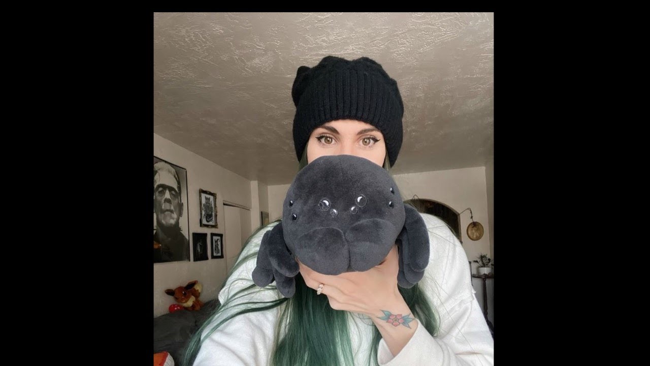 Velvet Spiders with Tarantula Kat! - YouTube