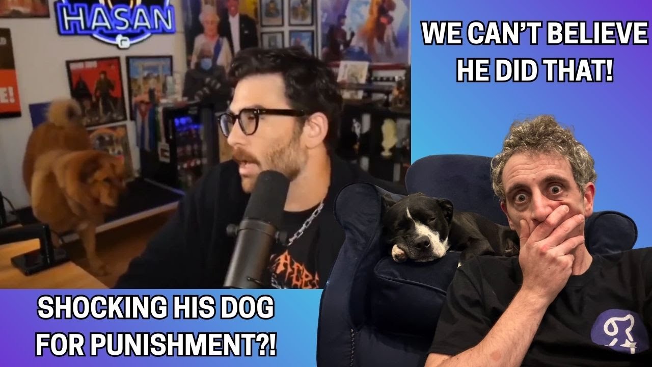 Hasan Piker Dog Shock Collar Controversy - YouTube