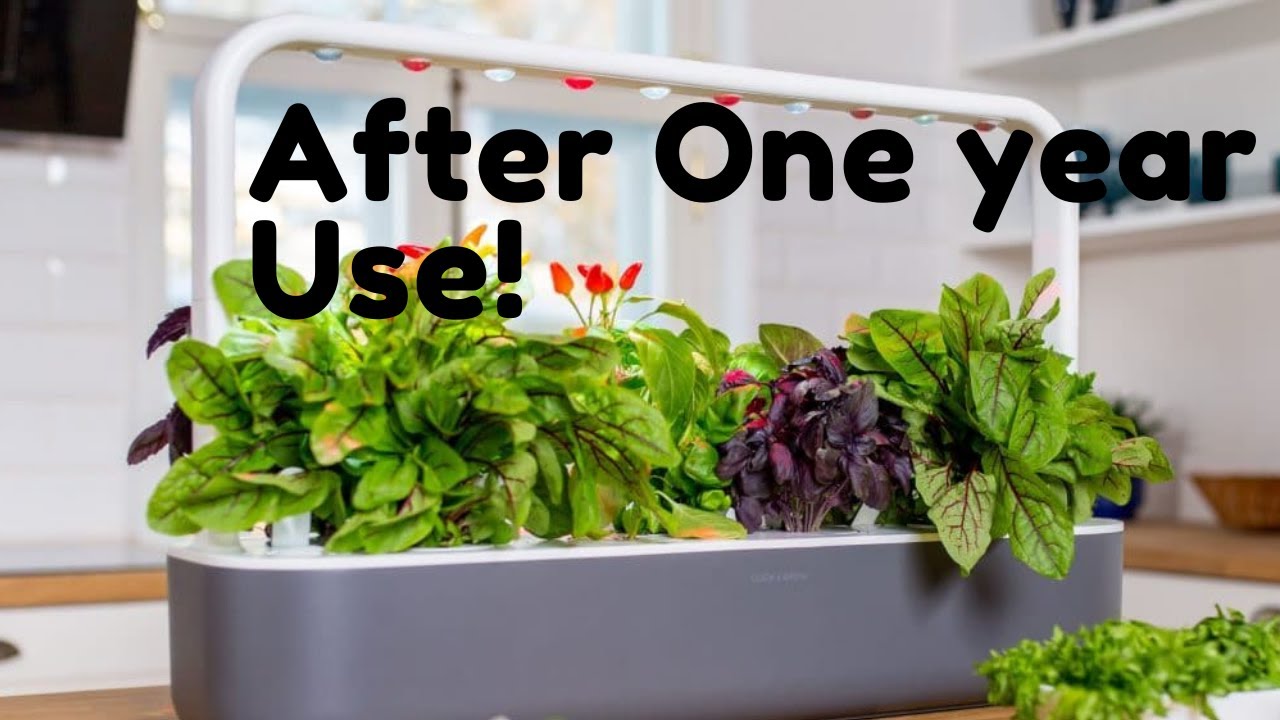 Honest Review After 1 Year Of Using Click and Grow Indoor Planting ...