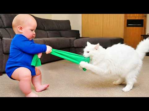 COOL PEAS - Try Not To Laugh - Funny Babies and Cats Playing Together -   Funny Baby Videos