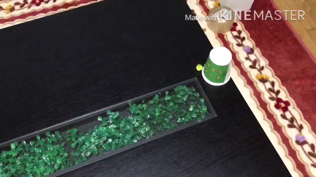 Pythagora Switch #2 - YouTube