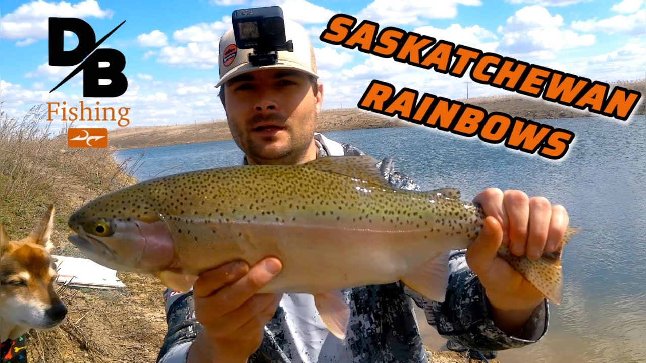 EARLY SPRING RAINBOW TROUT | TESTING NEW FLY ROD - YouTube