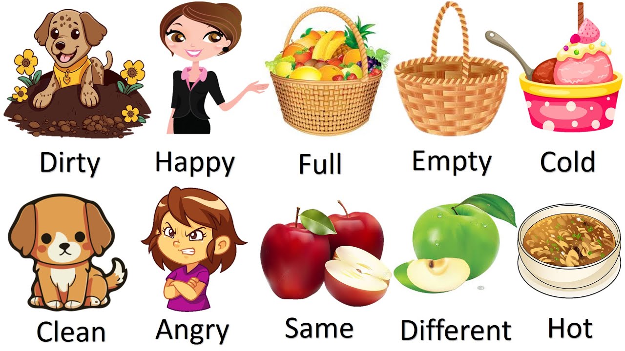 Learn Action Verbs Vocabulary In English Common Words In English