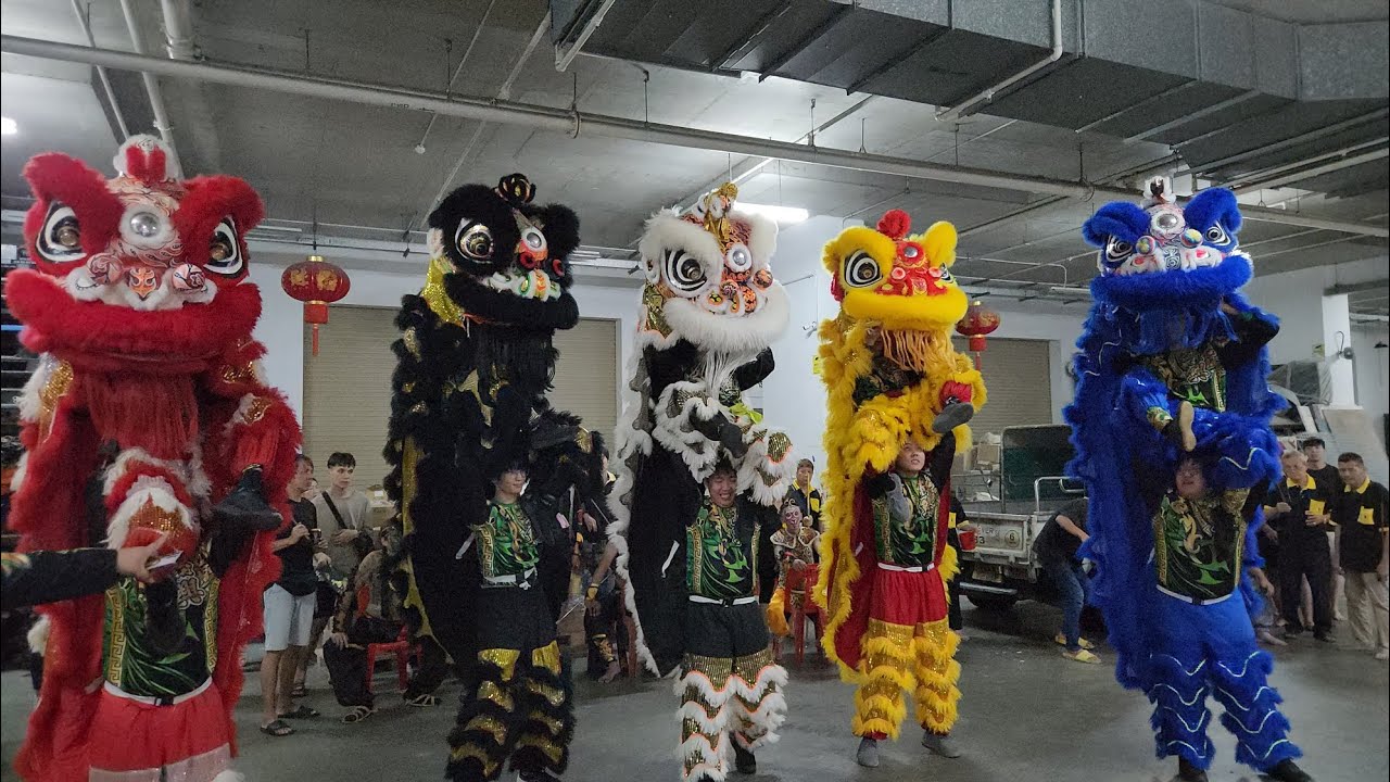 新加坡義興體育會南獅表演 Singapore Ghee Heng Lion Dance Cai Qing Performance at ...