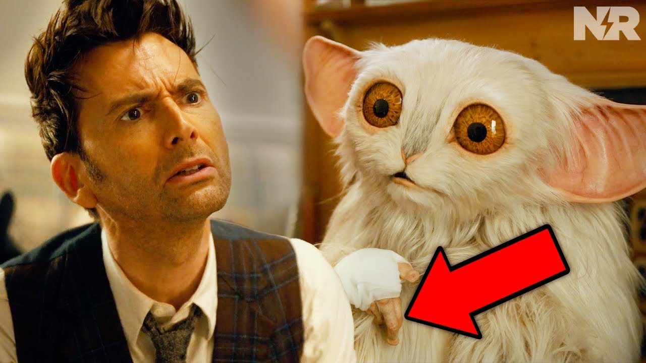 DOCTOR WHO STAR BEAST BREAKDOWN! 60th Anniversary Special Episode 1 ...