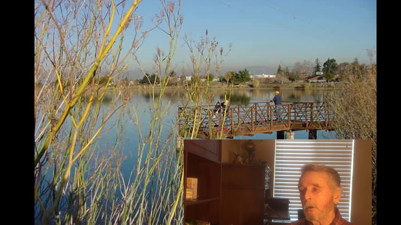 Strolling along the Trail by the percolation ponds of Campbell ...