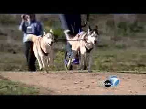 Urban Mushing - YouTube