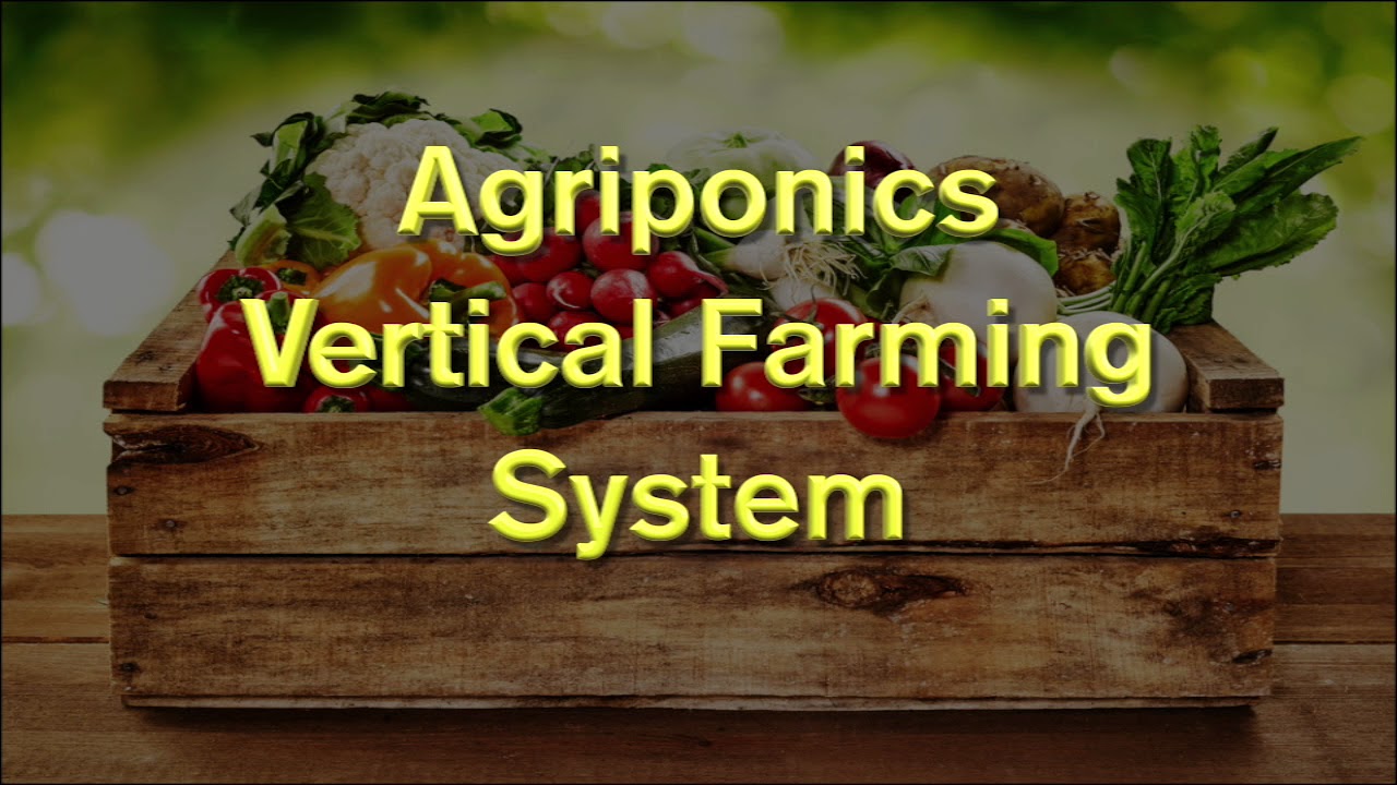 All About Agriponics Vertical Smart Farms - YouTube