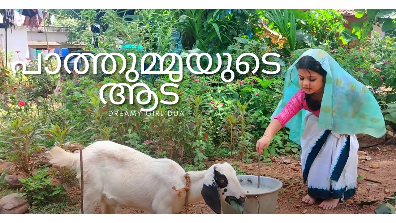 Pathummayude aadu | ബഷീറിന്റെ പാത്തുമ്മയായി ദുഅ | Dua as Pathumma | Vaikom Muhammed Basheer ...