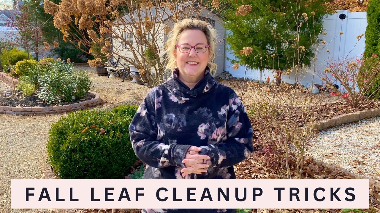 Fall Garden Easy Leaf Clean Up Tricks YouTube fall-garden-easy-leaf-clean-up-tricks-youtube