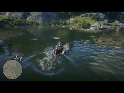 Red Dead Redemption 2 Western Bull Moose spawn location - YouTube