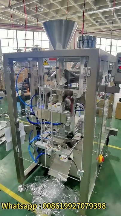 Continuous Motion High Speed Food Raisin Dried Fruit Nuts Cookies Candies VFFS Bagging Machine ...