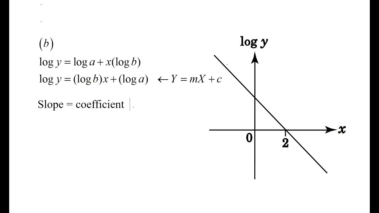 Assignment #8 Logarithmic Function Linearization of logarithmic ...