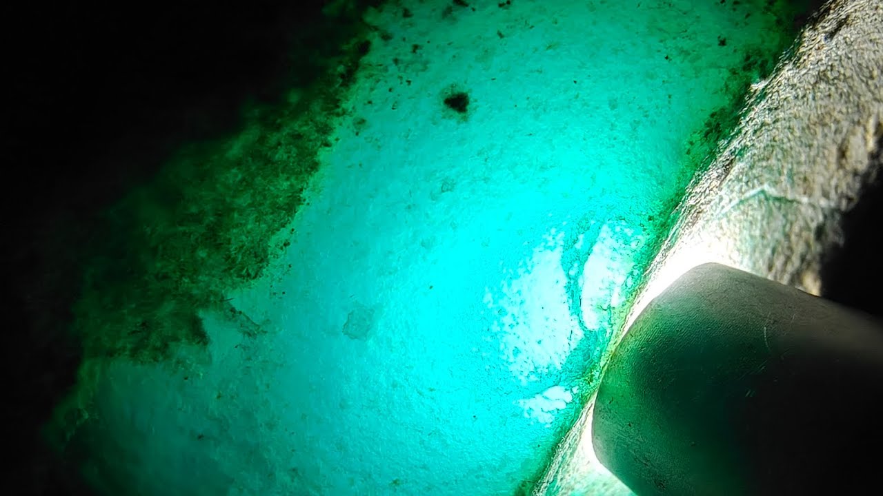 Bacan Doko 2 ons Rp 4500 wa 095834453671 #bacanmania #bacandoko # ...