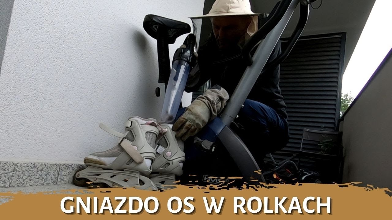 Gniazdo os w rolkach - usuwanie gniazda os - całkowita likwidacja ...