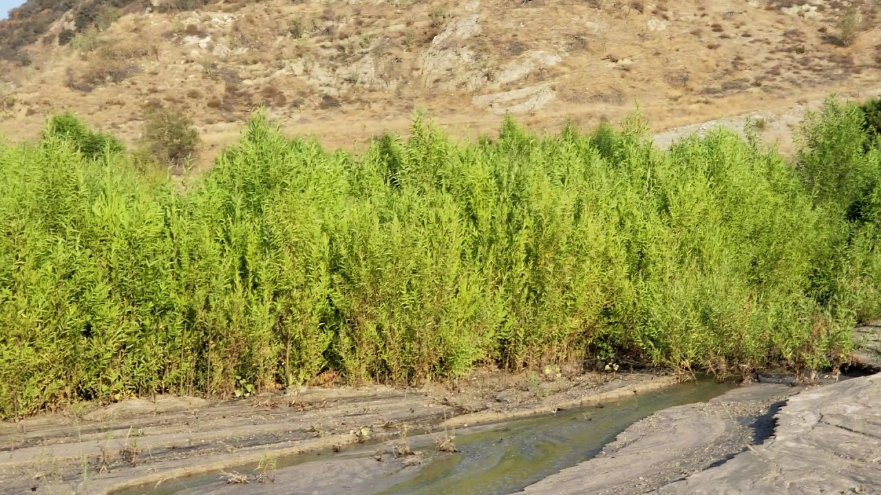 Fishing at Seven Oaks Dam - YouTube