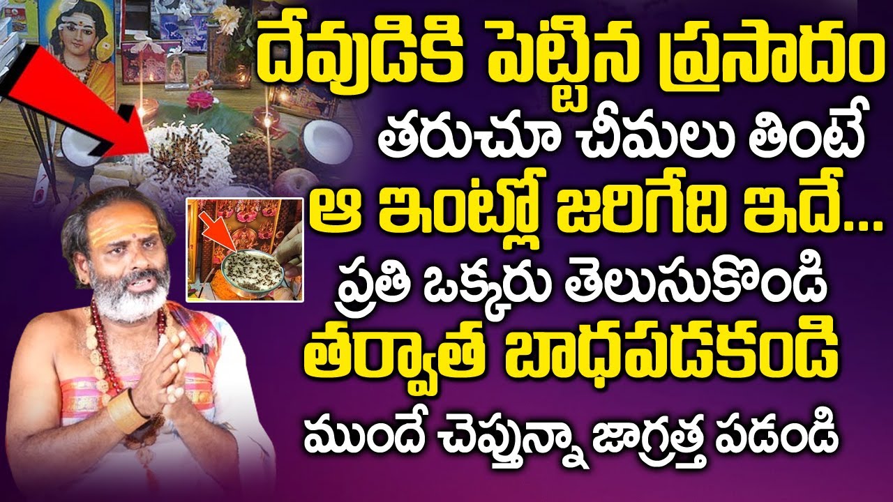 తరచూ చీమలు తింటే ఆ ఇంట్లో జరిగేది ఇదే..| Prasadam Chimalu Tinte ...