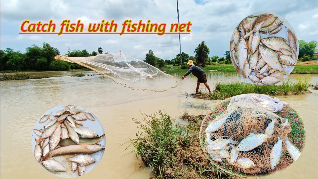Most Satisfying Cast Net Fishing Video Catch Tons of Fish - Traditional ...