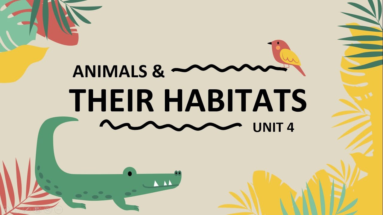 Animals and Their Habitats - Big English Unit 4 - YouTube