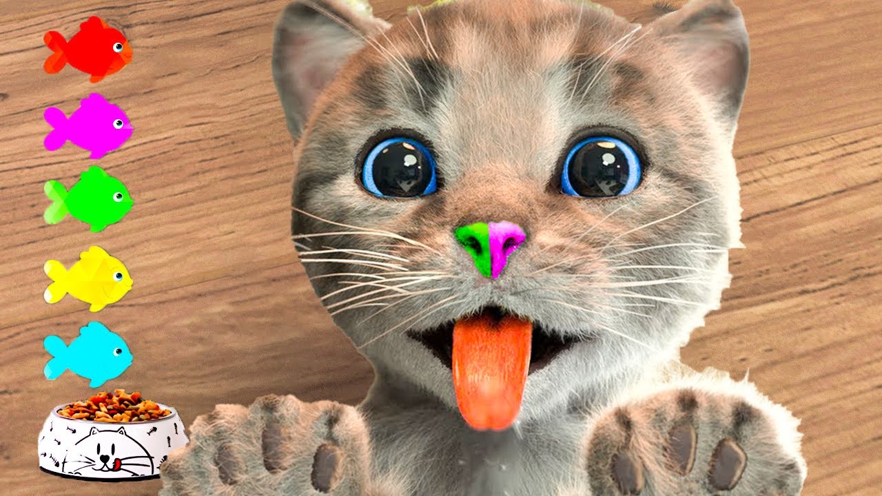 LITTLE KITTEN ADVENTURE BEST FUNNY KITTY ANIMATED CAT ON AN ADVENTUROUS ...