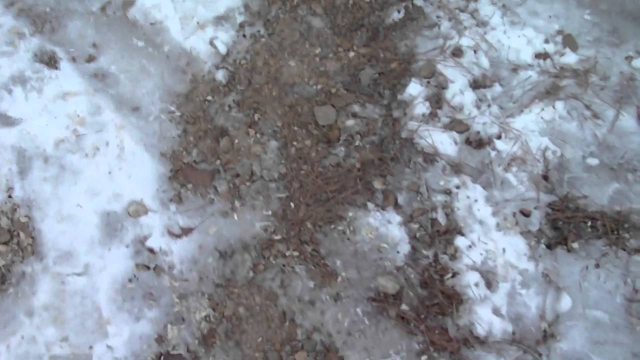 Slick Ice - YouTube