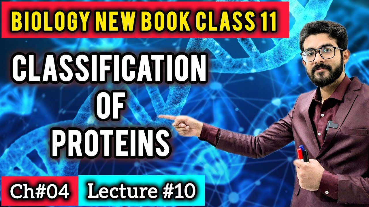 Protein Classification | Fibrous vs Globular | Class 11 Biology | New ...