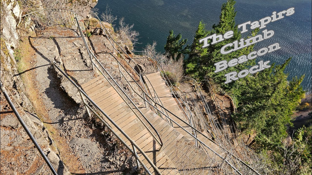 The Tapirs Climb Beacon Rock - YouTube